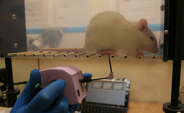 RatMet Electronic von Frey – MouseMet from Topcat Metrology Ltd