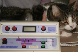 Thermal Thresholds « Nociceptive Threshold Testing